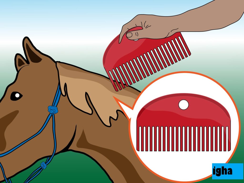 IGHA - Informasi Mengenai Perawatan Kuda Balap