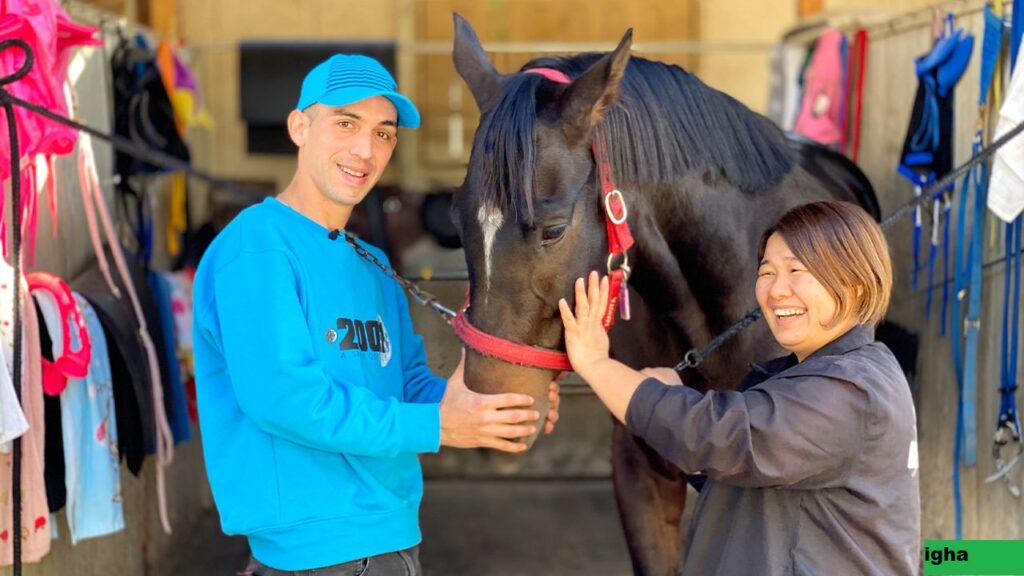 IGHA - Informasi Mengenai Perawatan Kuda Balap