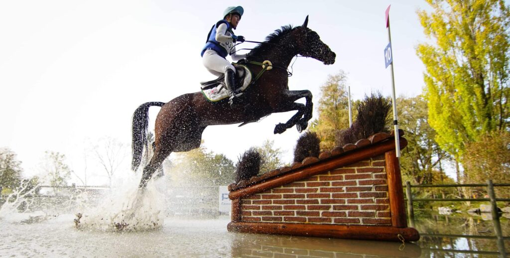 bagaimana cara menganalisis pemulihan kuda eventing